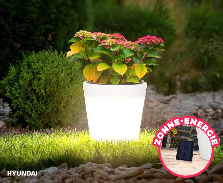 Verlichte Plantenpot Met Solar Aanbieding ⏰ | VoordeelVanger