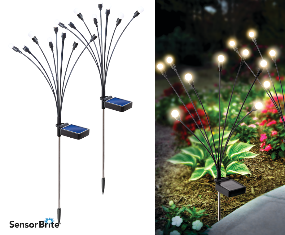 Sensor Brite Solar Firefly Lights Aanbieding ⏰ | VoordeelVan